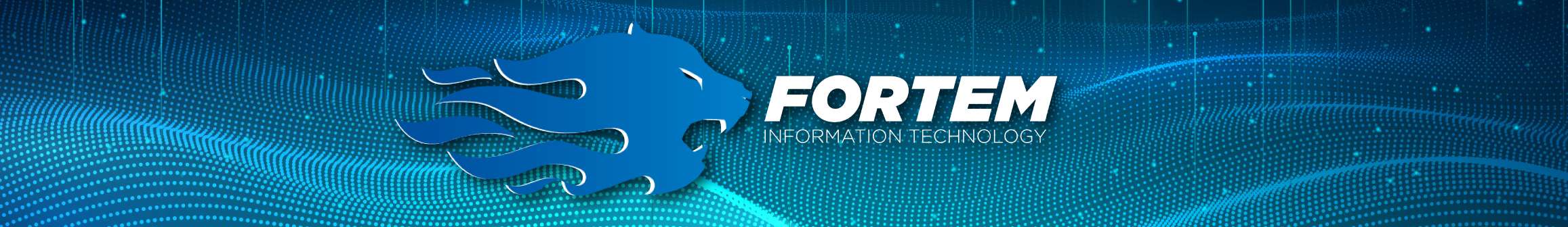 Fortem IT